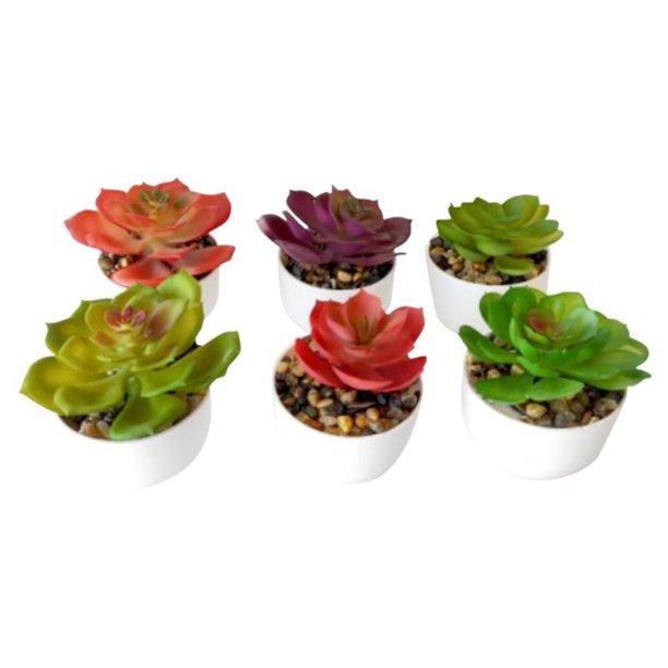 Set De Suculentas Decorativas STT94017, 6 Un | Lider