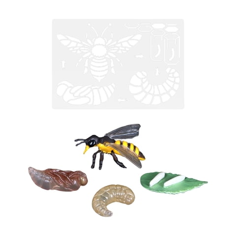 Fiocias - Baby Montessori Life Cycle Cake Topper Suministros