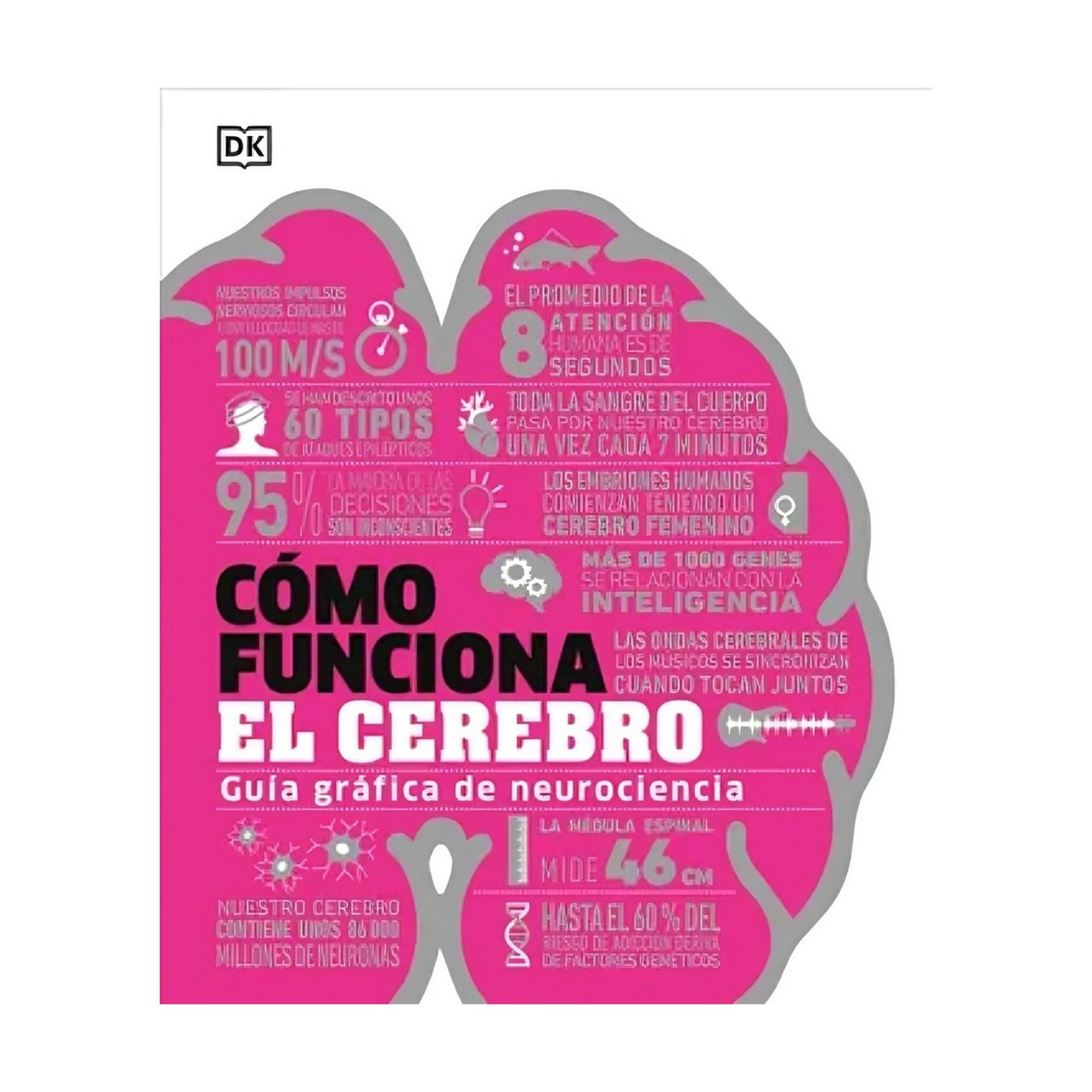 Libro Cómo Funciona El Cerebro - Infantil | Lider