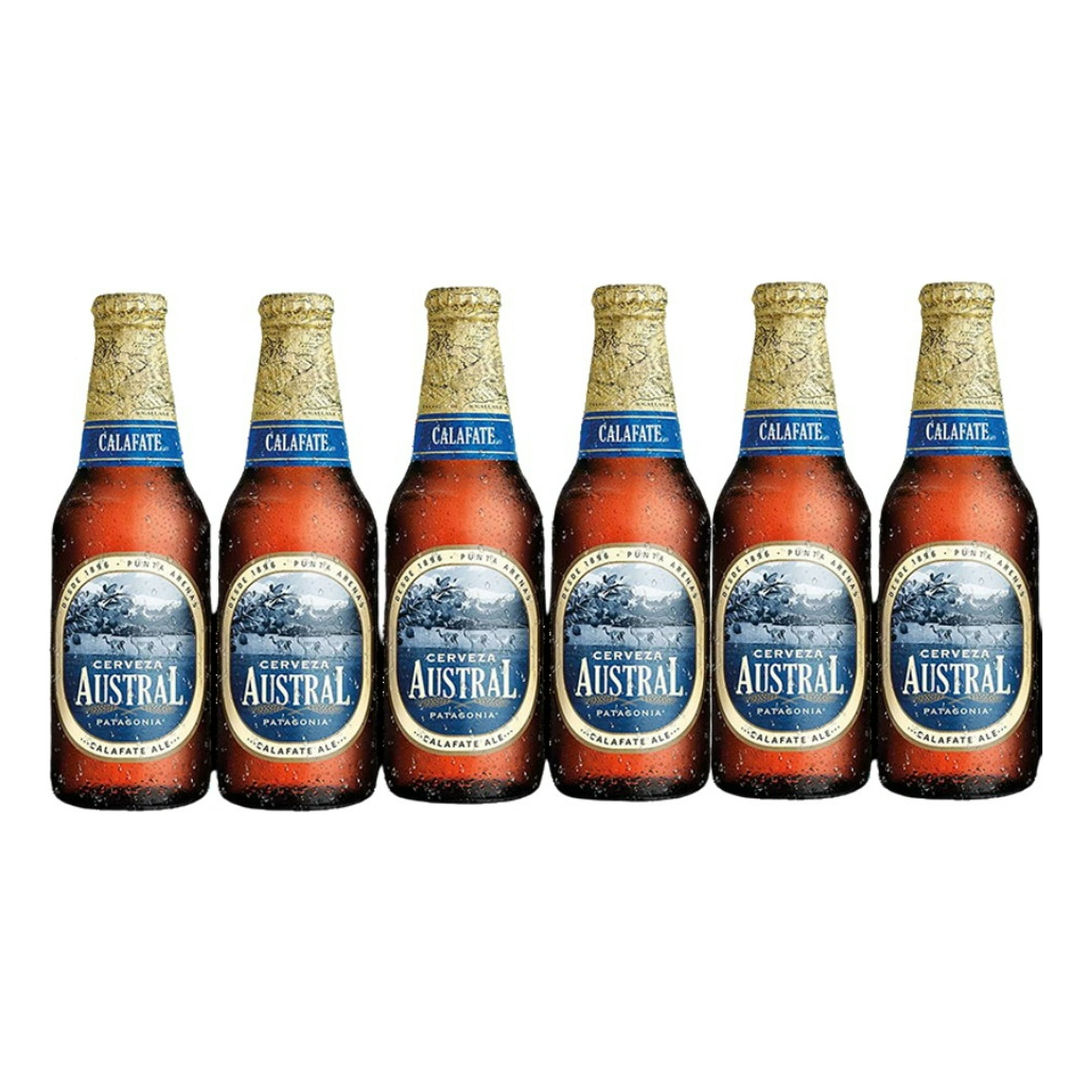 Cerveza Ale Calafate 5° Botella | Lider