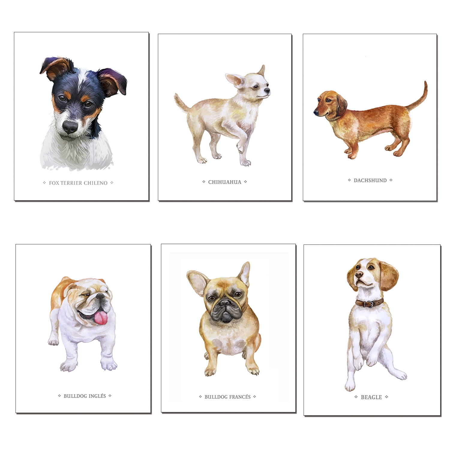 Set De Láminas Perros N°2 | Lider