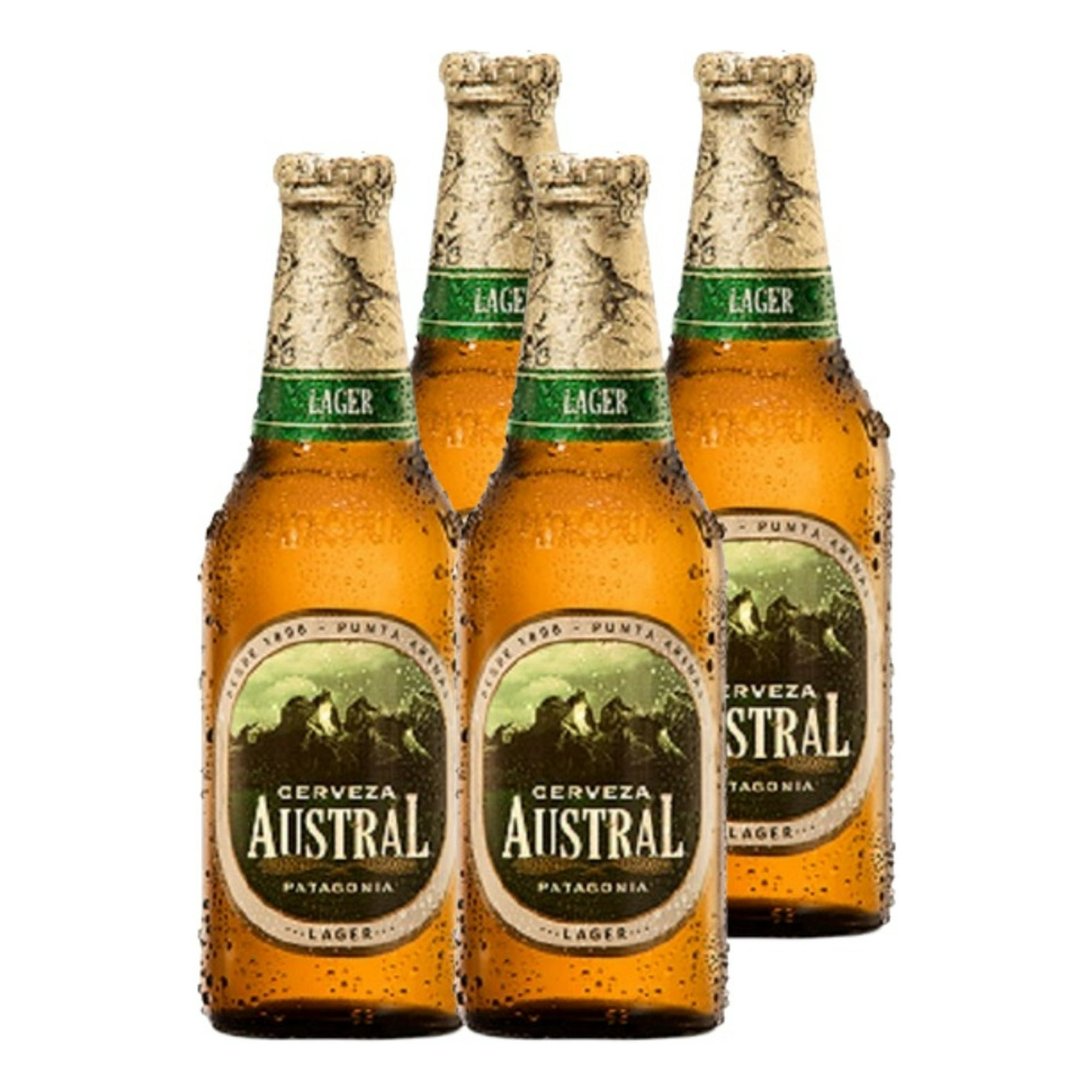 Pack 4 Cervezas Patagonia Austral Lager Botella 330cc | Lider