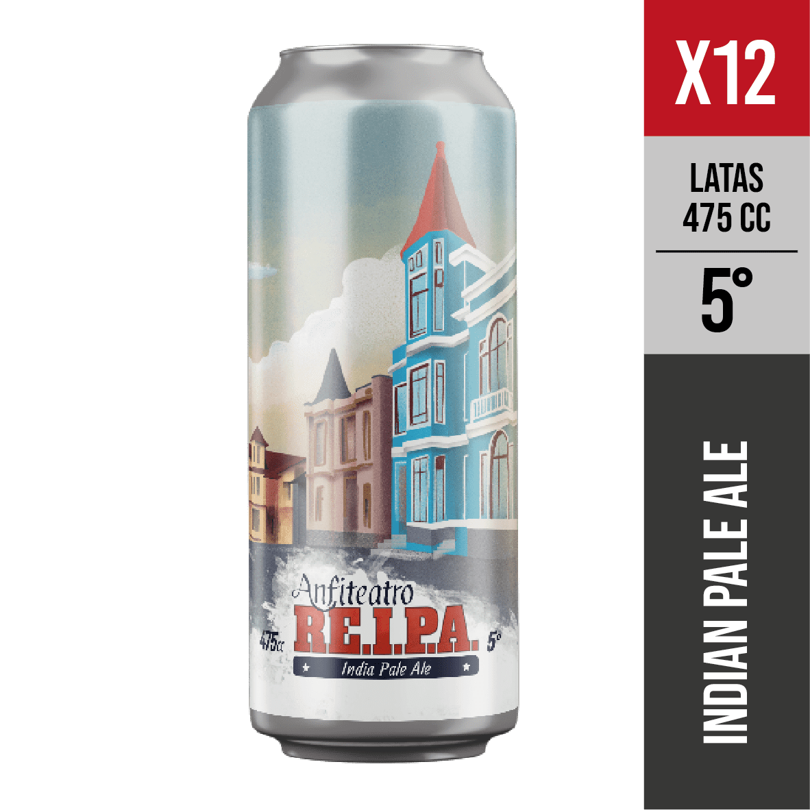 Pack x12 Re.I.P.A., 5° (Indian Pale Ale) - Cerveza artesanal Valparaiso ...