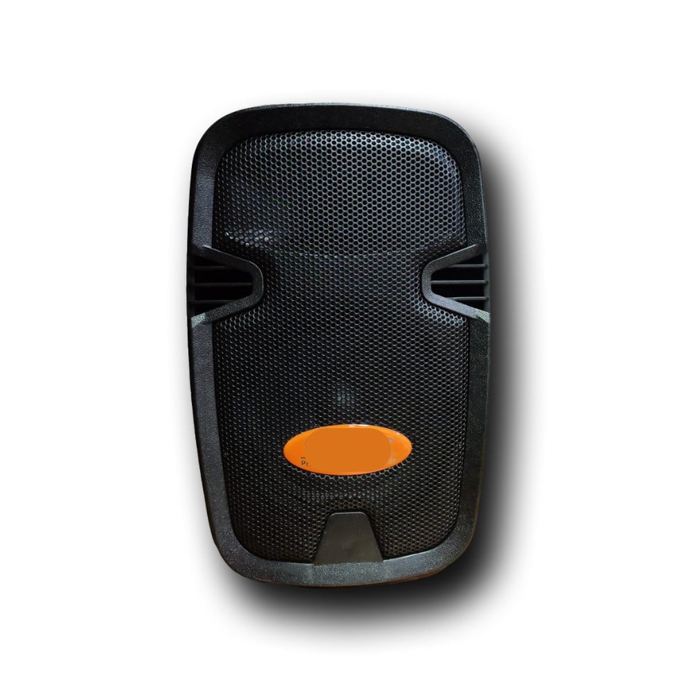 Caja Portátil Recargable 8” BT Mp3 FM 50w RMS - PB-E2 | Lider