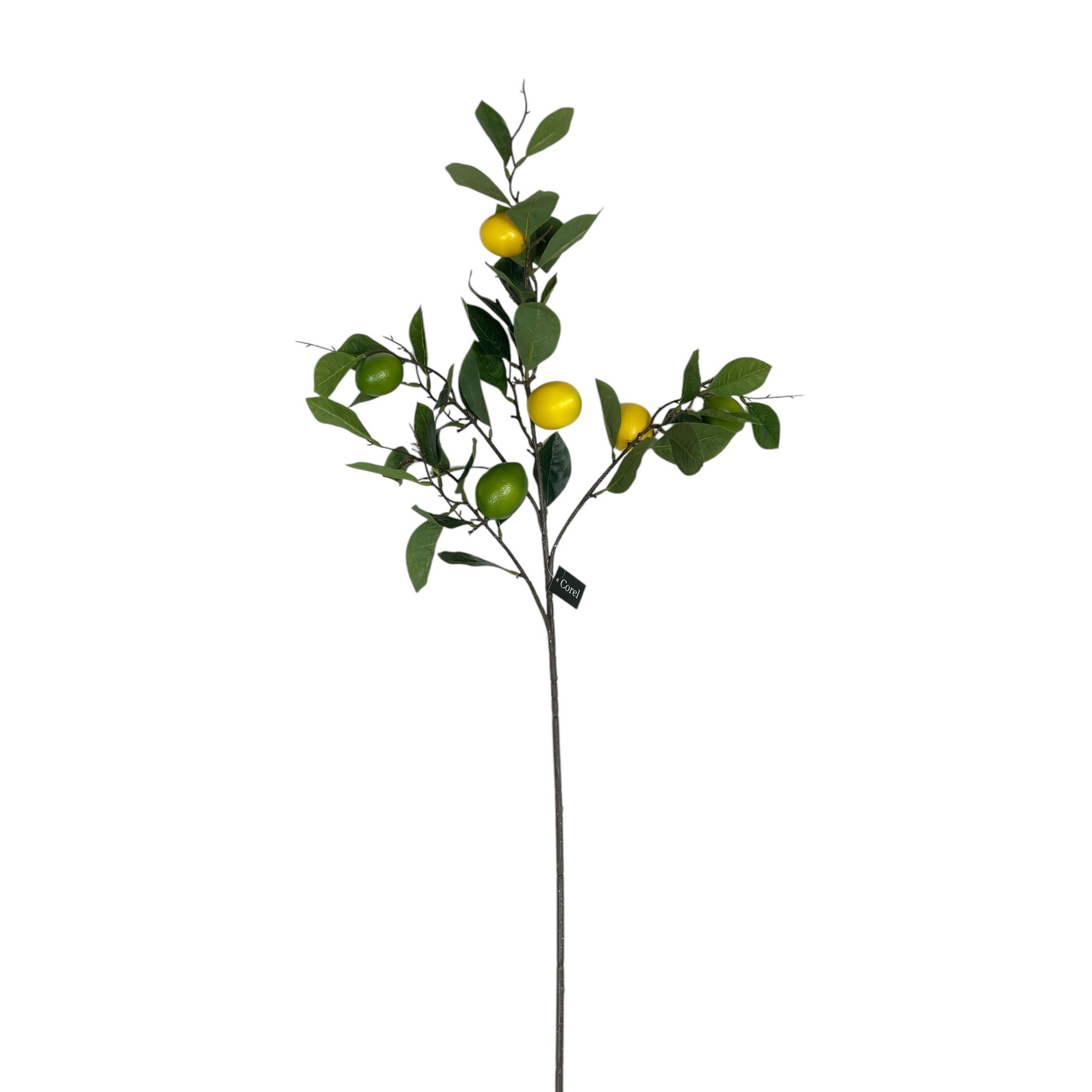 Rama De Limon 95cm | Lider