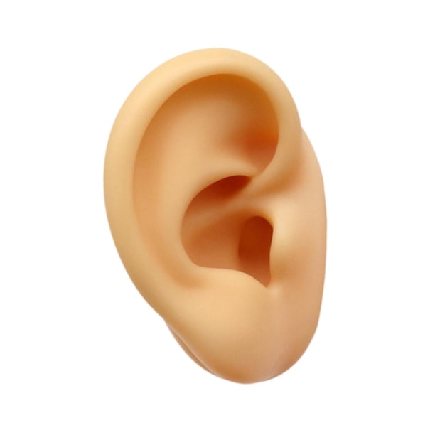 Modelo de oreja de silicona, simulación realista, maniquí para práctica ...