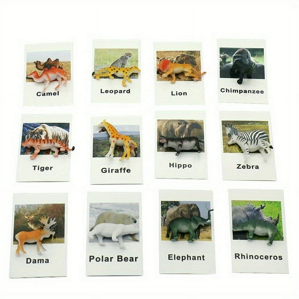 Montessori Animal Matching Card Cognitive Kids Educational Toy Animal ...