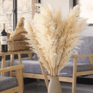 Genérico - Ramo Flores Secas Pampas Y Cola De Conejo