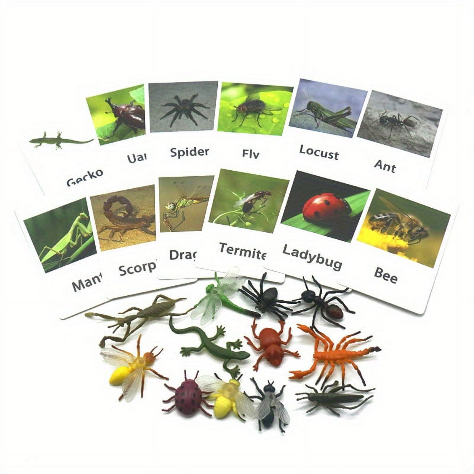 Montessori Animal Matching Card Cognitive Kids Educational Toy Animal ...