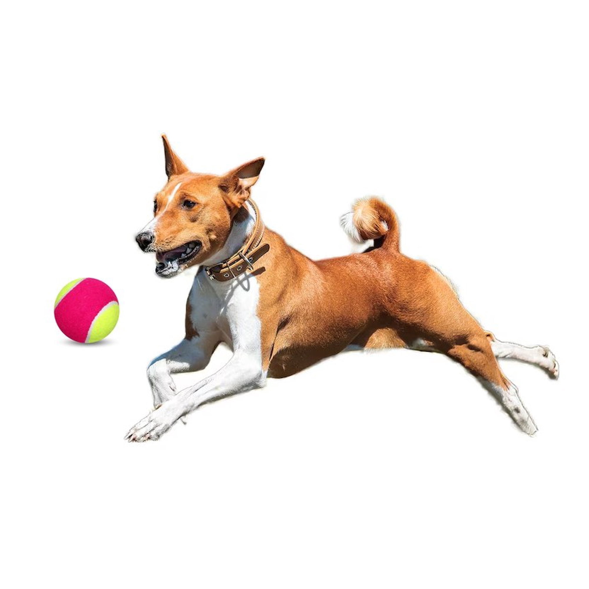 Pack 3 Juguete Para Perro Pelota Tenis Con Sonido Multicolor | Lider