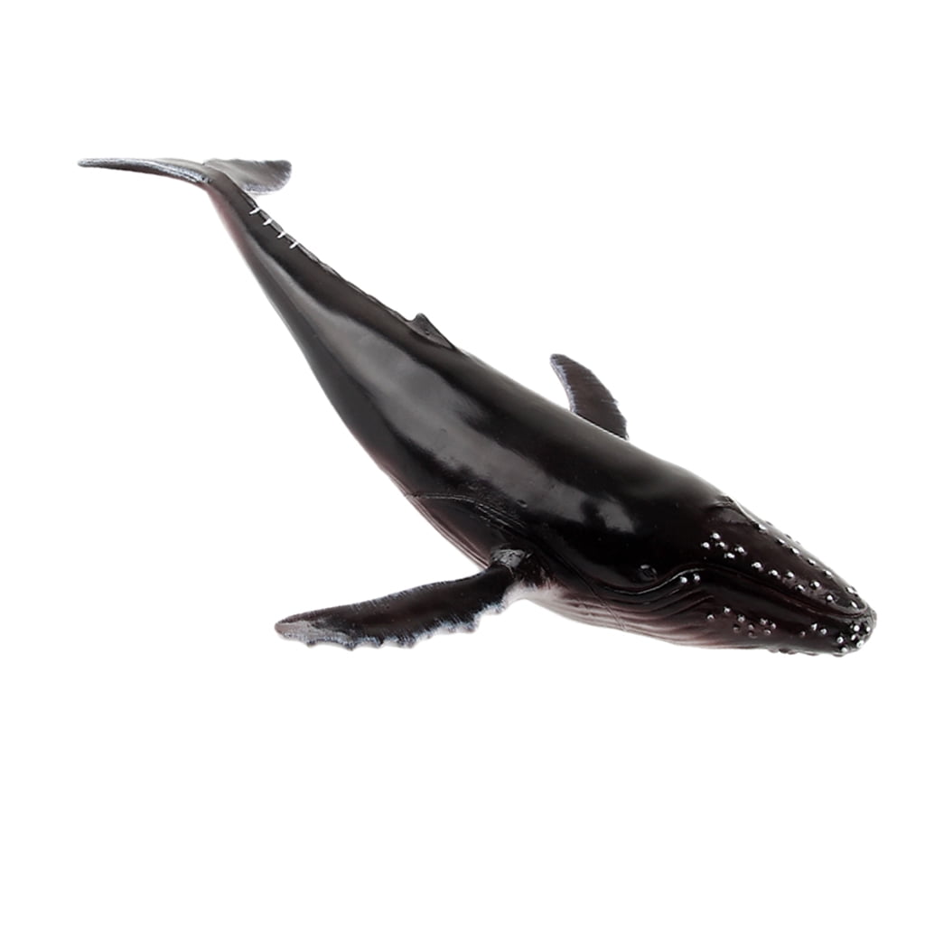 Ballena Realista Modelo Animal Educación Figura Suave Juguete Para ...