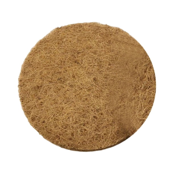 Nido De Pájaro Cría Caja De Incubación Paloma Tazón De Anidación Para ...