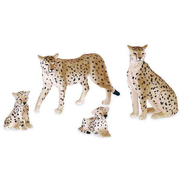 Familia de Cheetas | Lider
