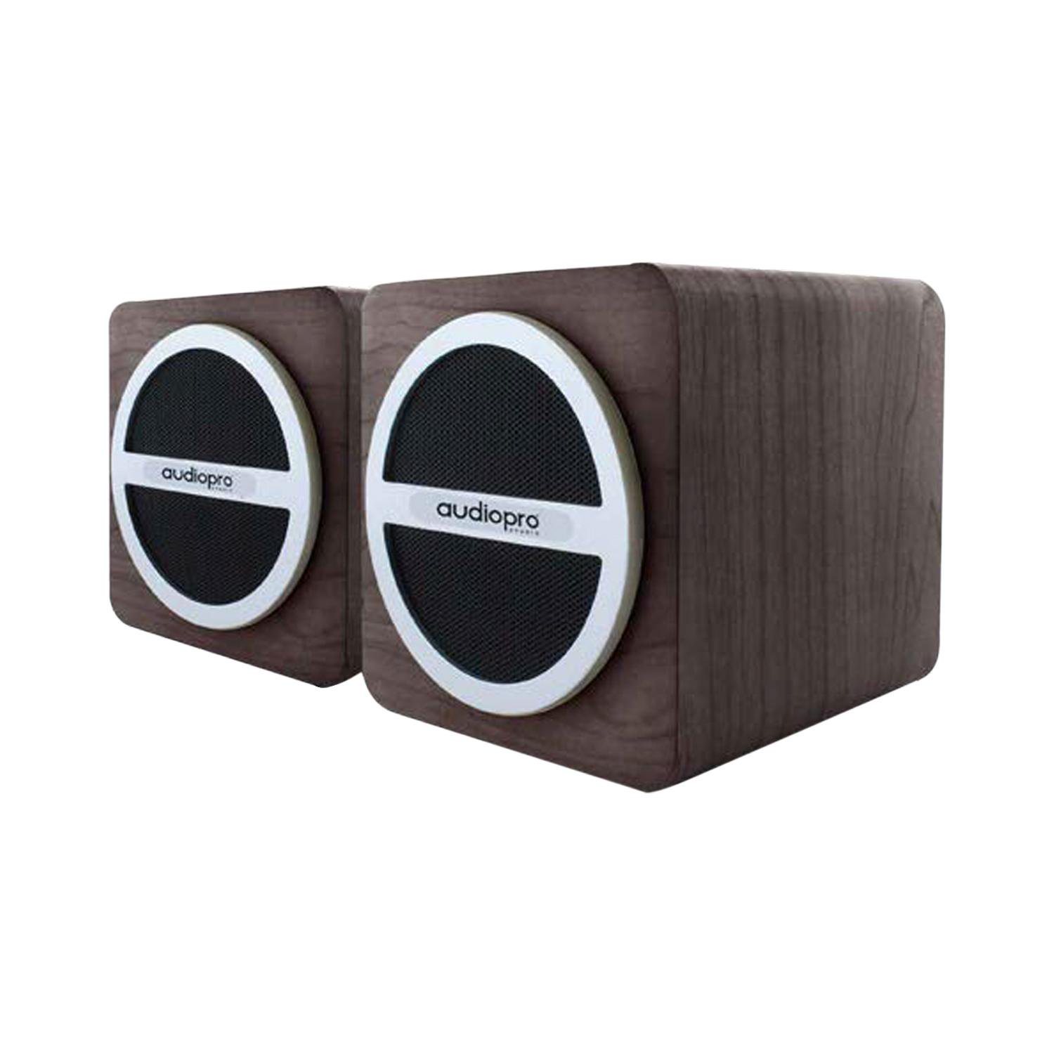 Parlante Bluetooth USB AUX 15W RMS Recargable Cafe Audio Pro | Lider