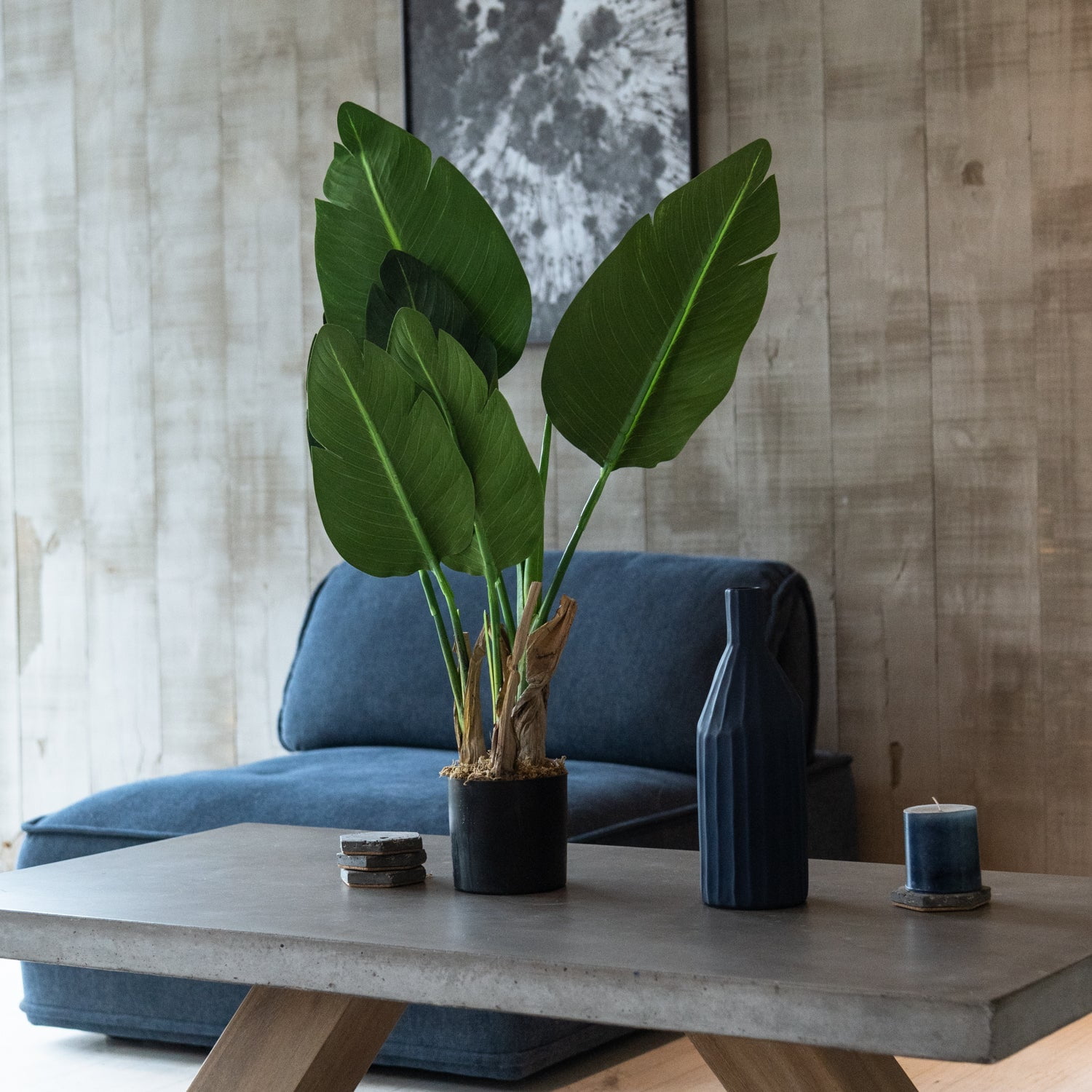 Bird of Paradise de 80 cm. | Lider