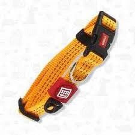 Gigwi Collar Tamaño M Amarillo | Lider