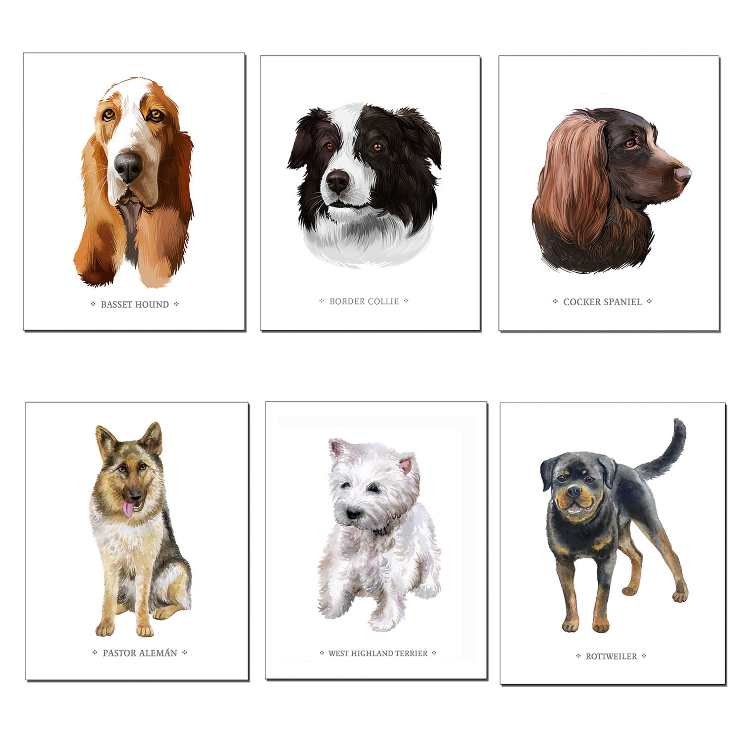 Set De Láminas Perros N°1 | Lider
