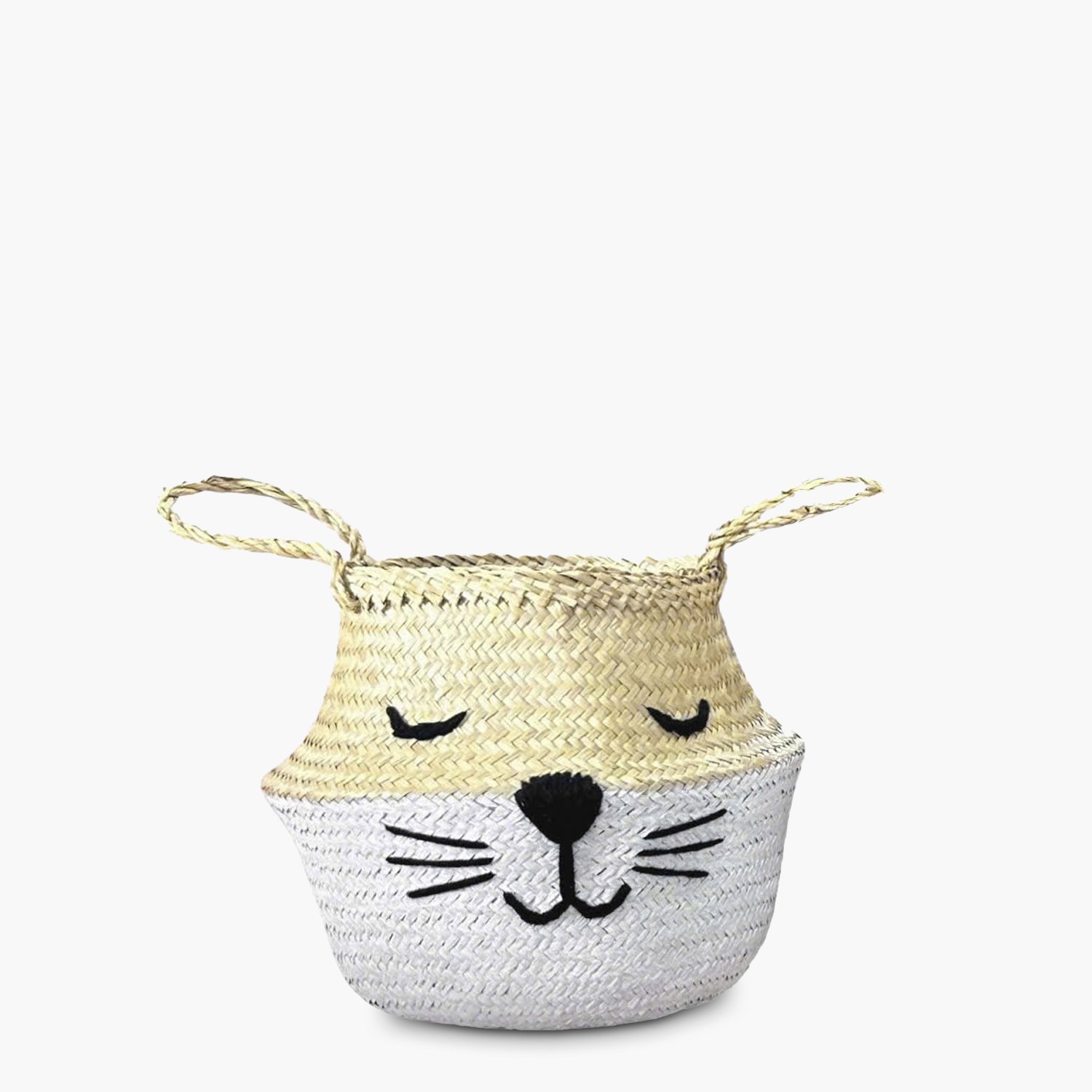 Canasto Roger S | Lider