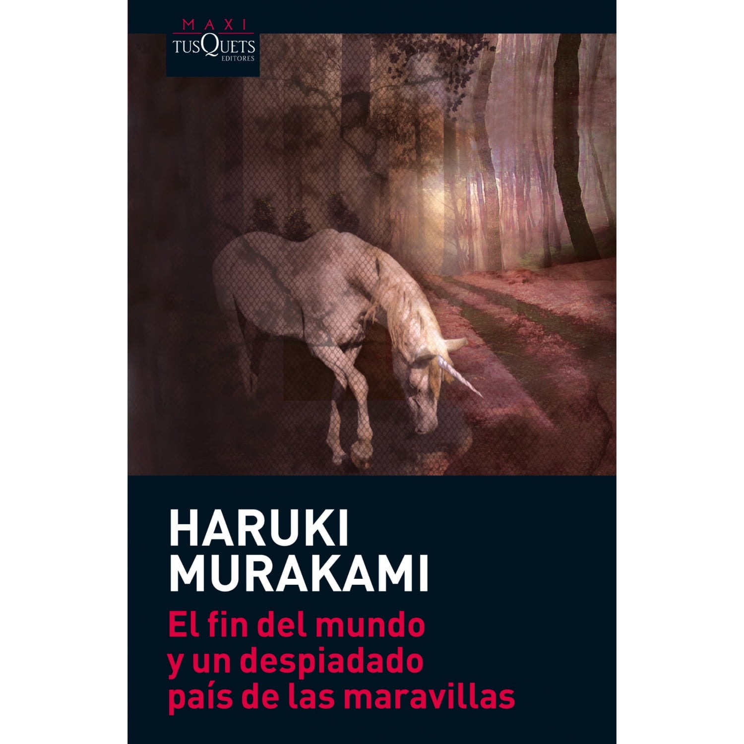 Libro El Fin Del Mundo Y Un Despiadado País De Las Marav | Lider