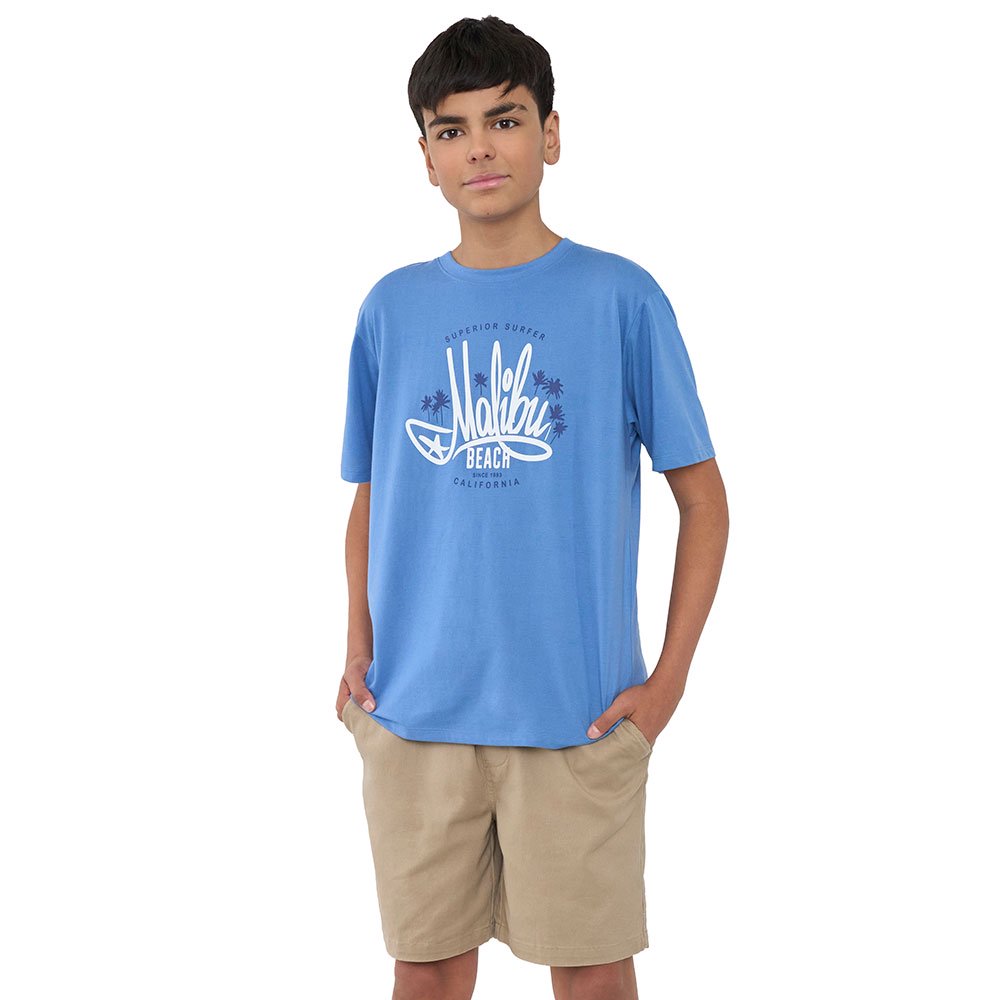 Polera Niño Teen Manga Corta Fun Celeste Corona | Lider