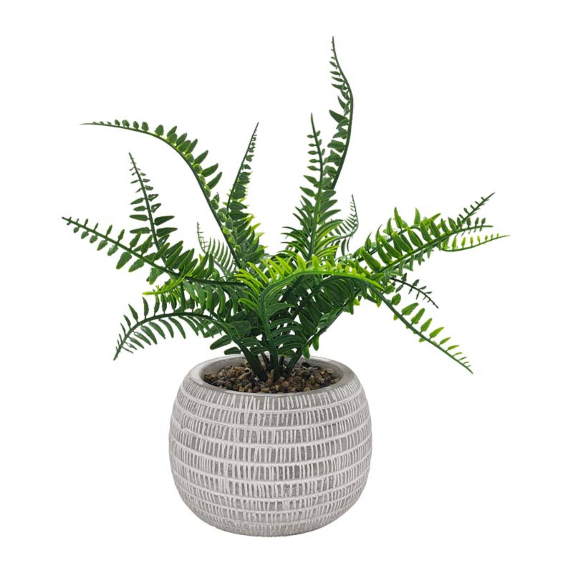 Planta Artificial filicopsida | Lider