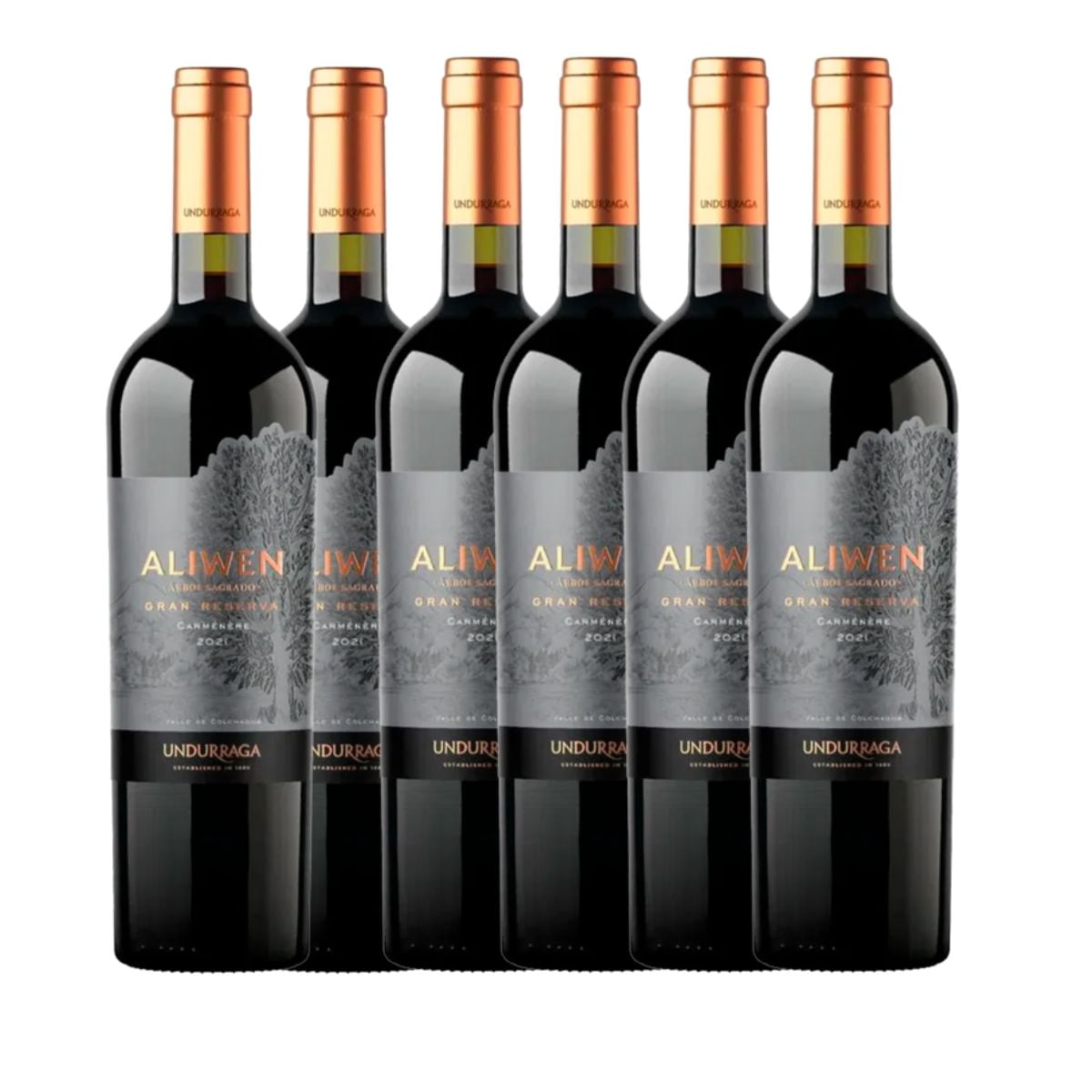 6 Vino Aliwen Gran Reserva Carmenere | Lider