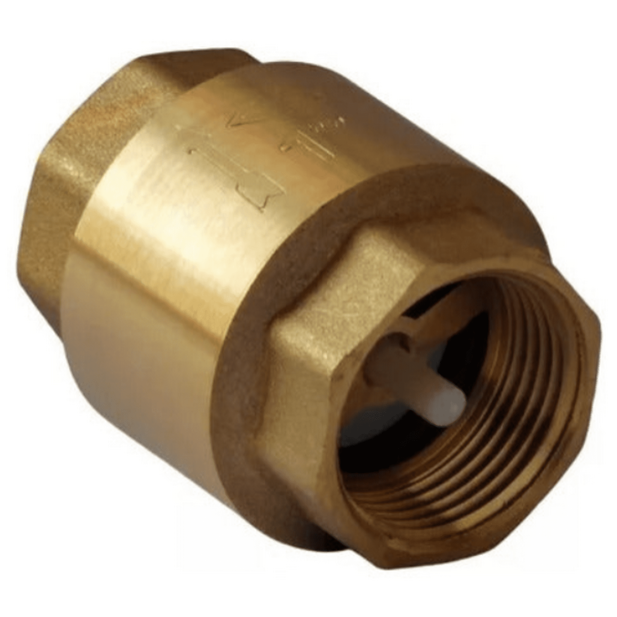 Válvula Retención Vertical Check 1 Pulgada | Lider