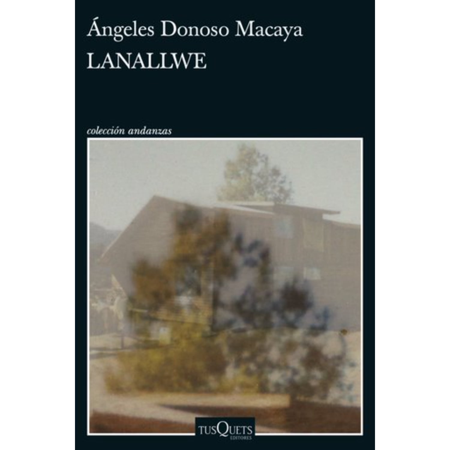 Libro Lanallwe | Lider