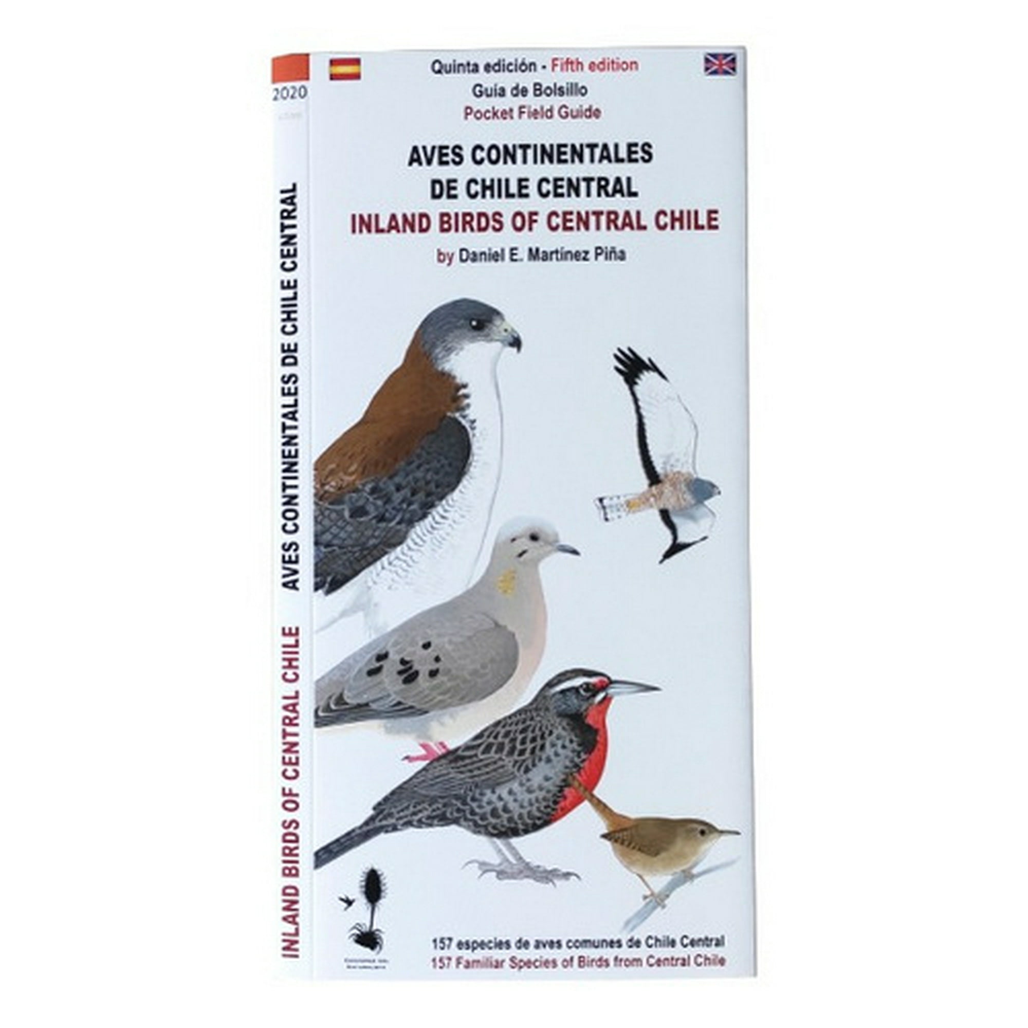 Guía Aves Continentales De Chile Central - Daniel Martínez | Lider