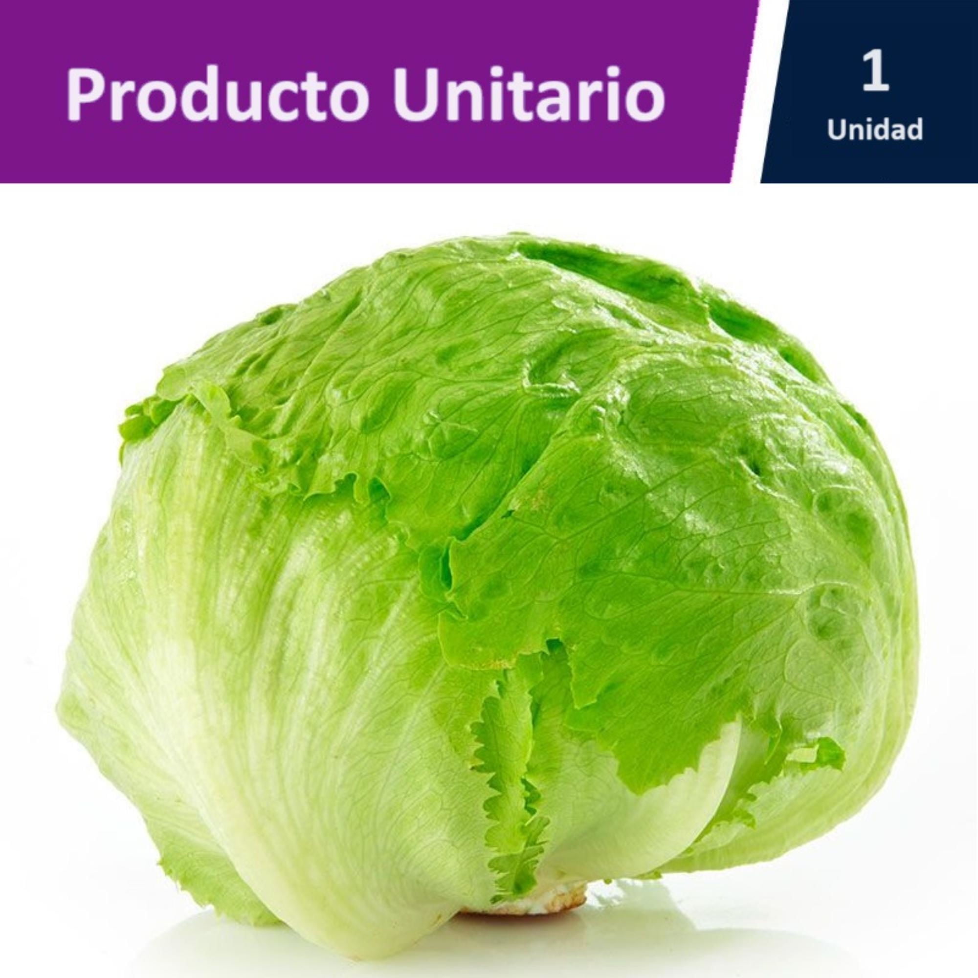 Lechuga Escarola Bolsa | Lider