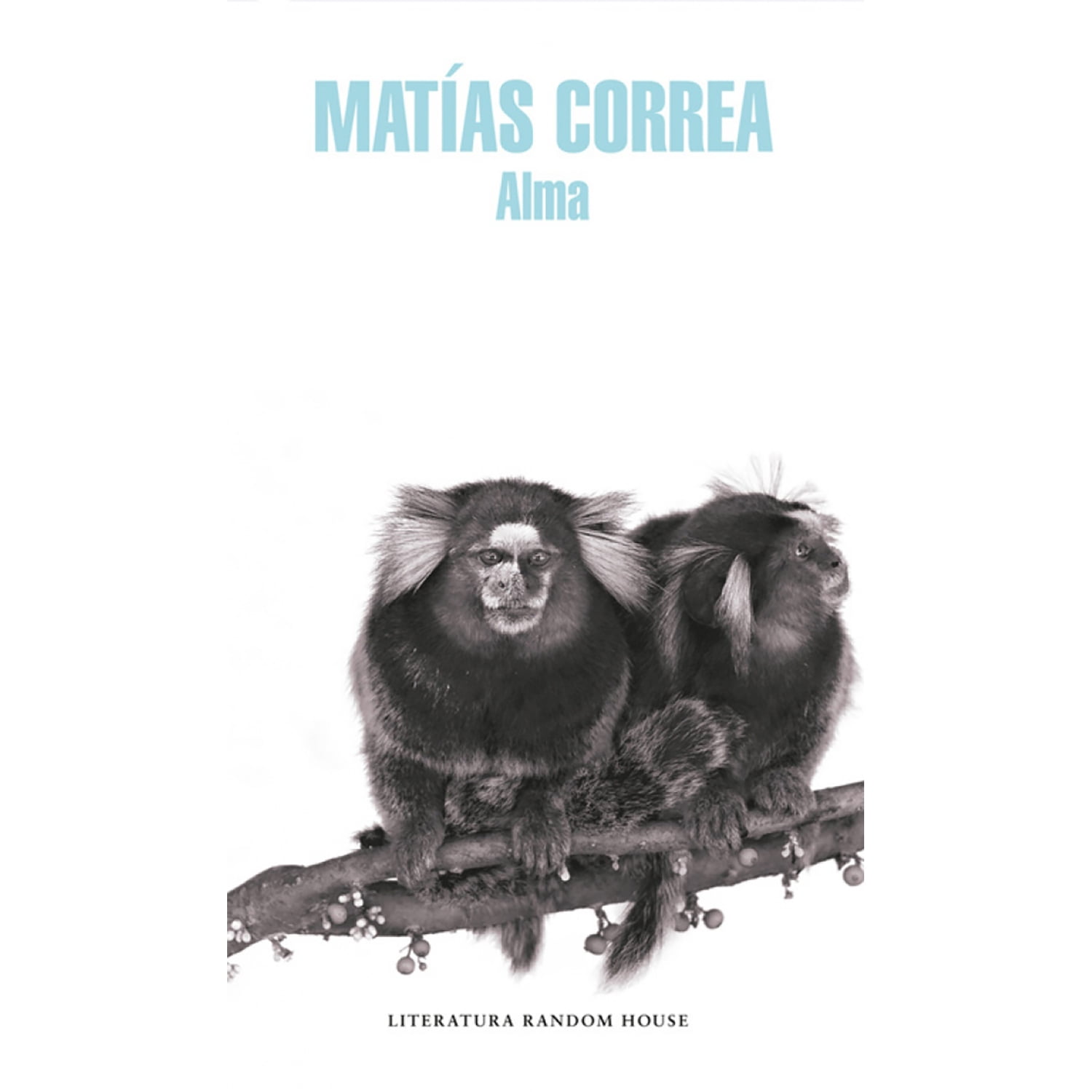 LIBRO Alma Matías Correas | Lider
