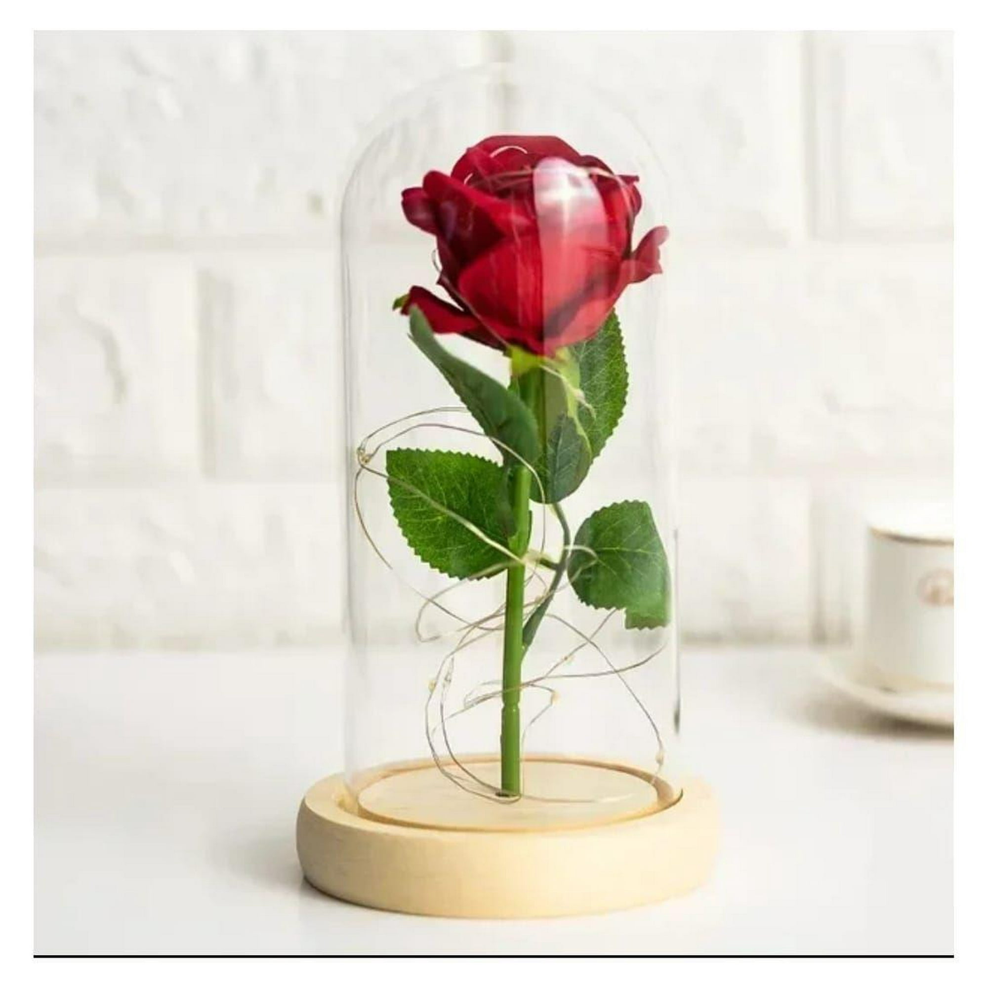 Cúpula De Vidrio de Rosa Eterna ROJA | Lider