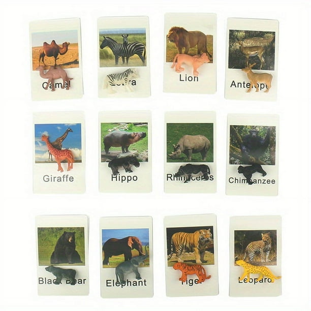 Montessori Animal Matching Card: Cognitive Kids Educational Toy For ...