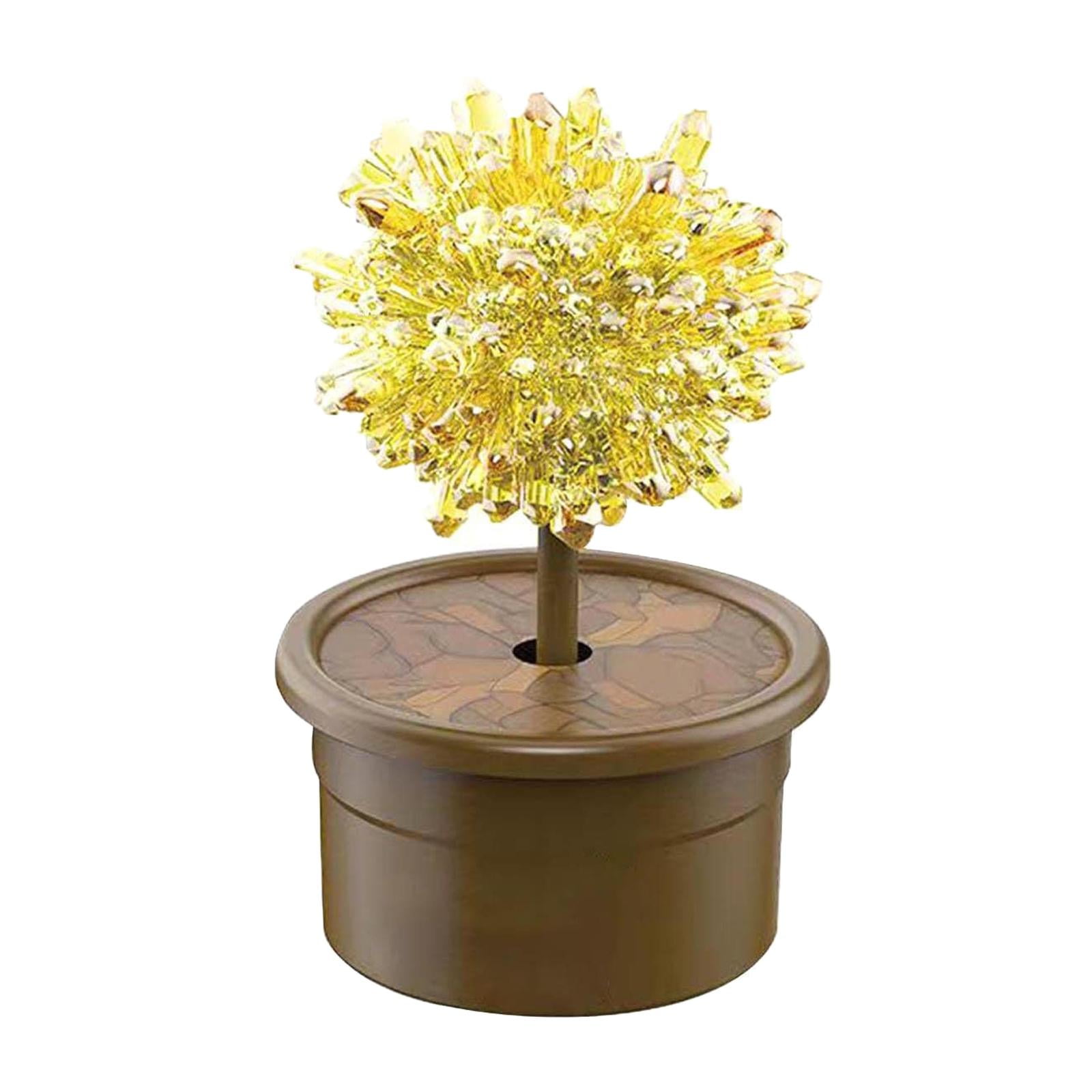 Novedad Crystal Trees Growing Kit Aprendizaje De Juguetes Educativos ...