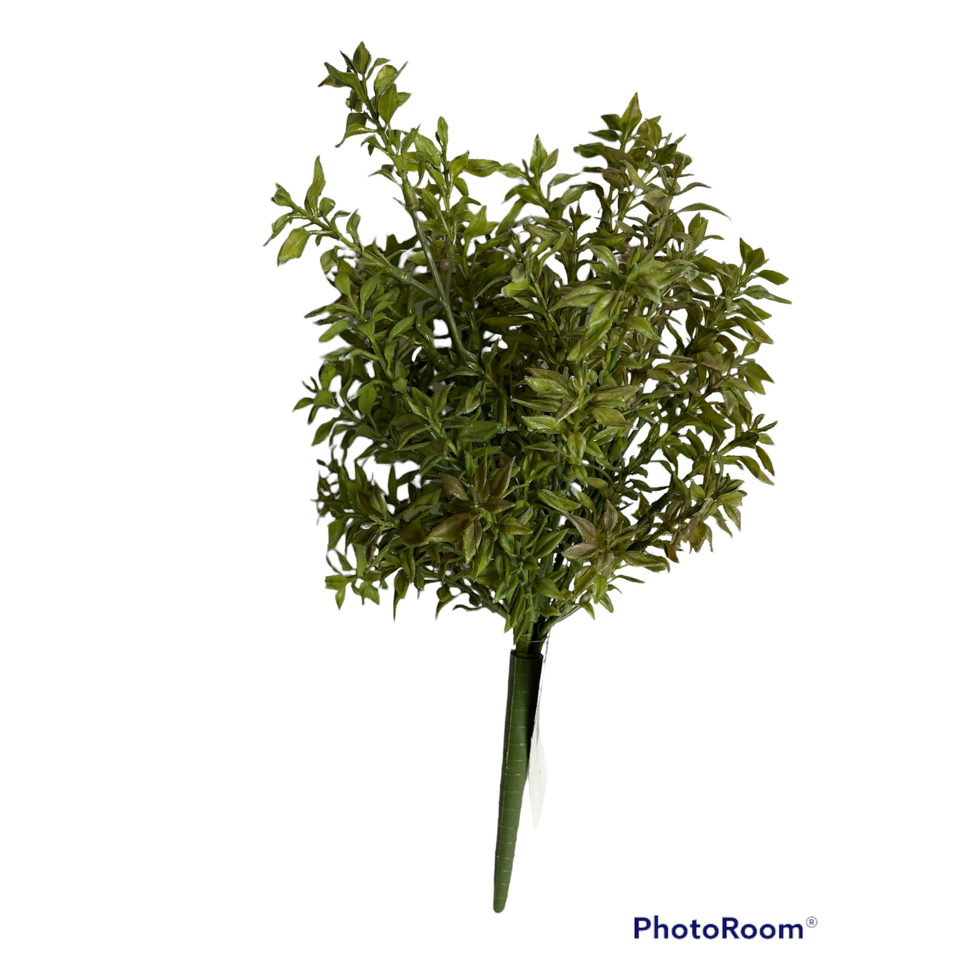 PLANTA DECORATIVA TOMILLO VERDE/ROJO 34CM COREL | Lider