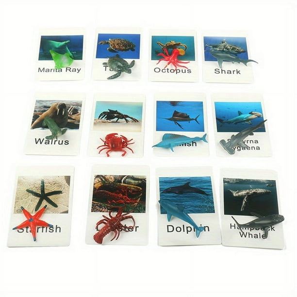 Montessori Animal Matching Card Cognitive Kids Educational Toy Animal ...