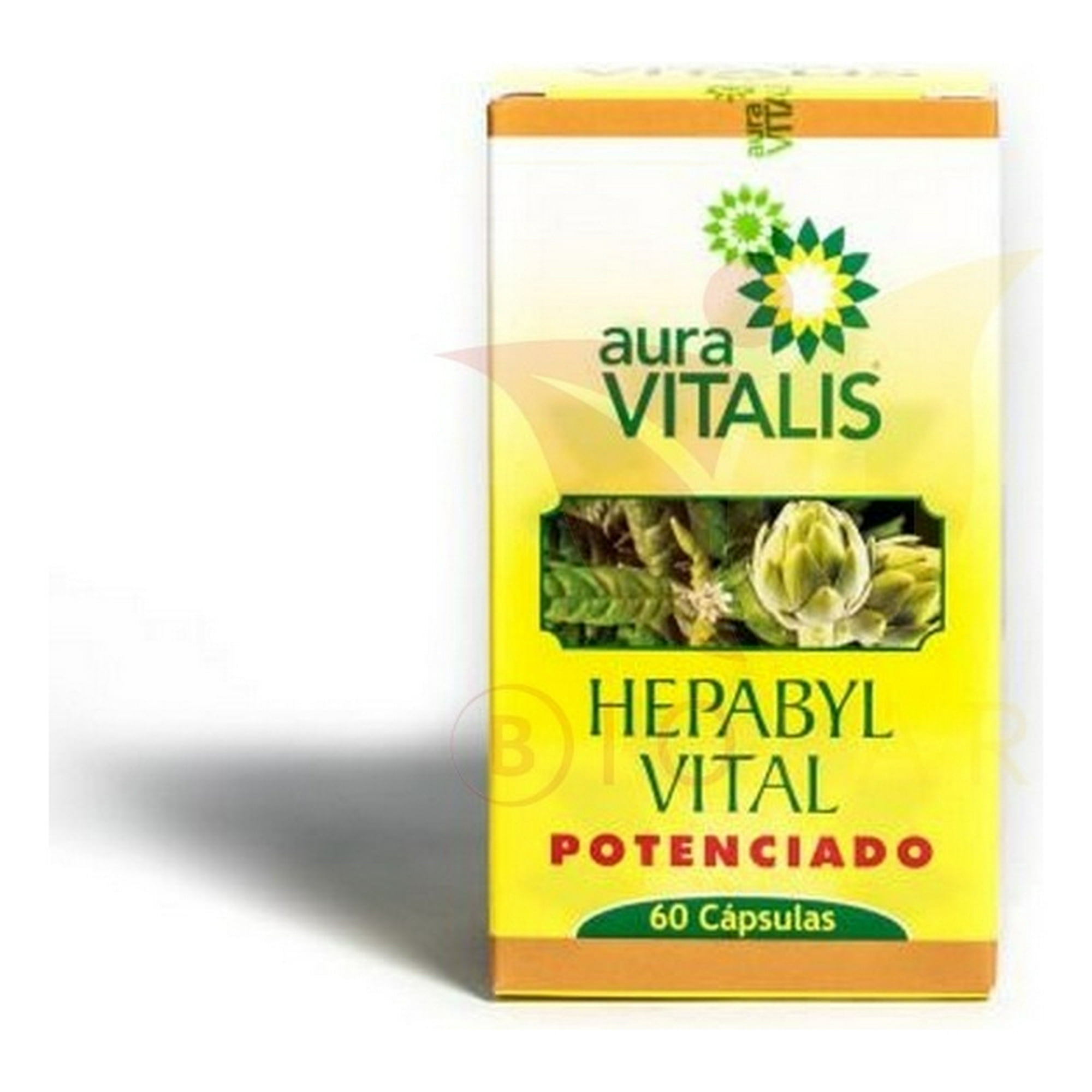 Hepabyl Vital 60 Cápsulas Protector Hepático | Lider