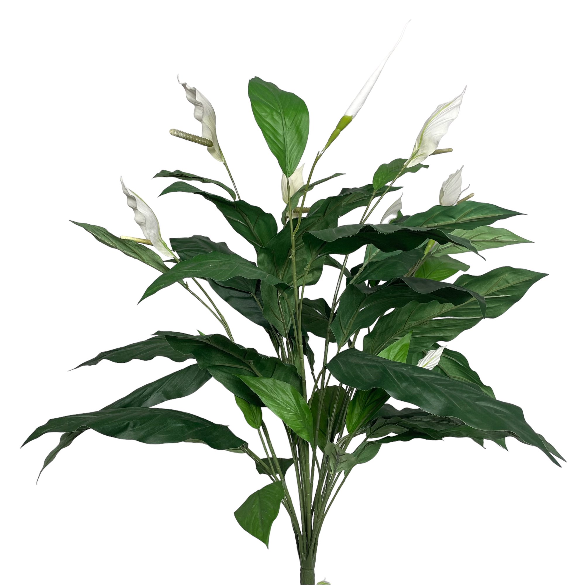 Planta Decorativa Spatiphilium 89cm | Lider