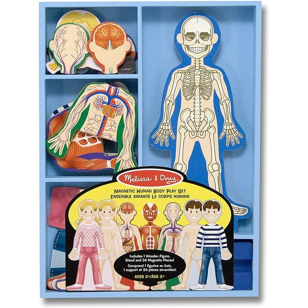 Melissa yamp; Doug Magnetic Human Body Anatomy Play Set con Melissa ...