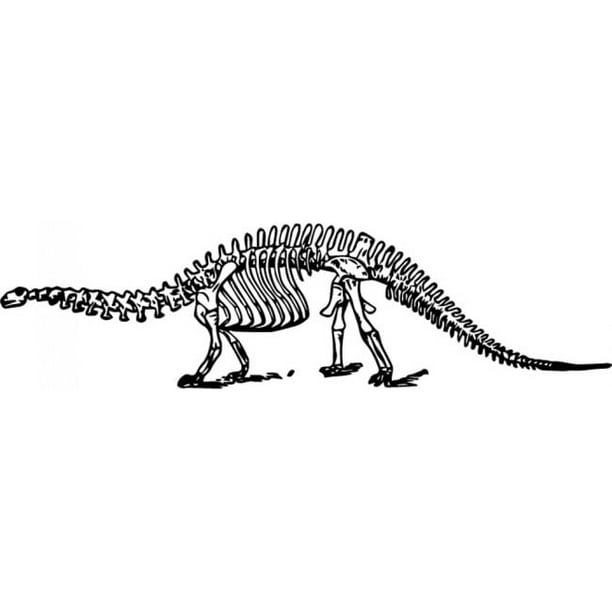 Decomural Alamosaurus Skeleton Dinosaur Bones WS-33641 | Lider