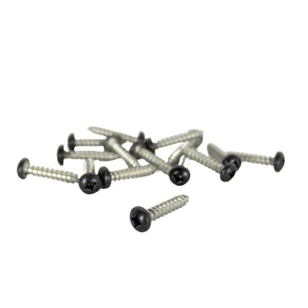 Tornillos ICON 14689 Acero Inoxidable Pintado Negro 15 unidades | Lider