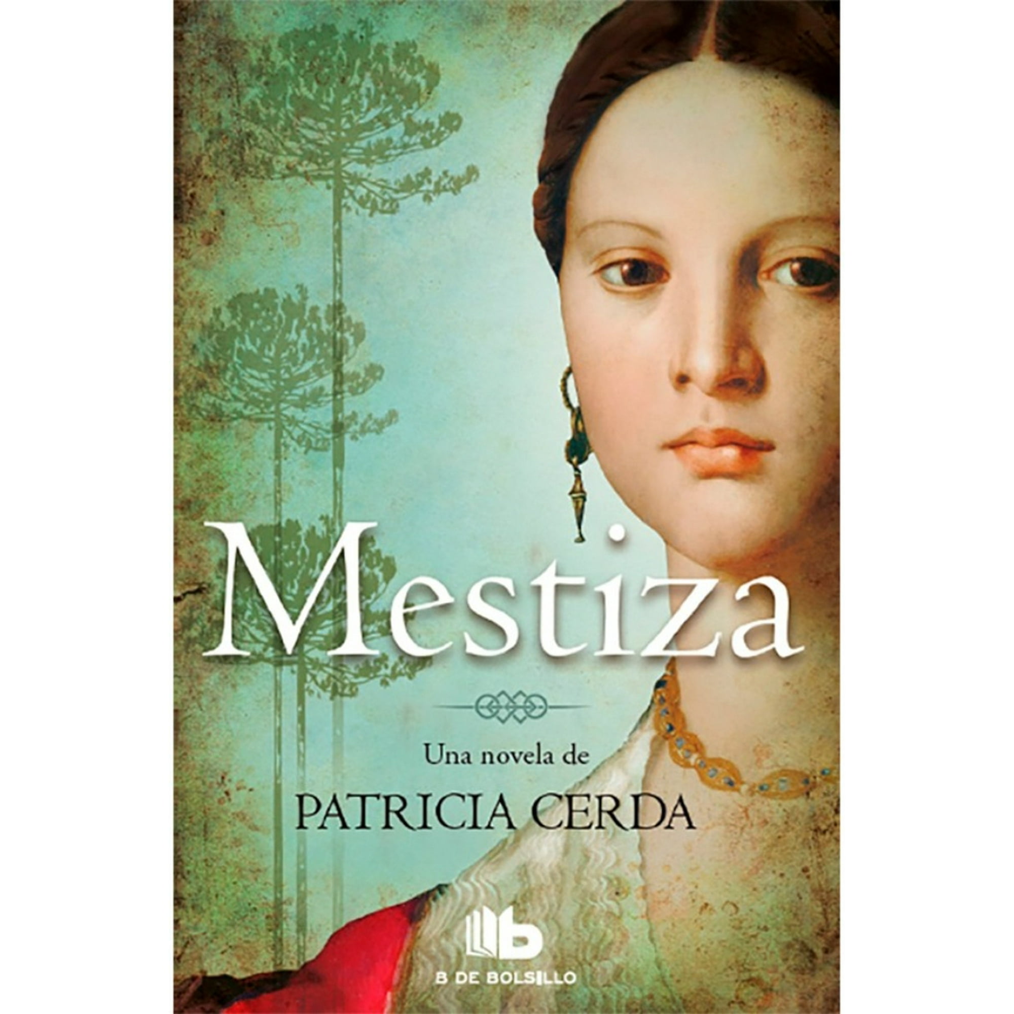 LIBRO MESTIZA /393 | Lider