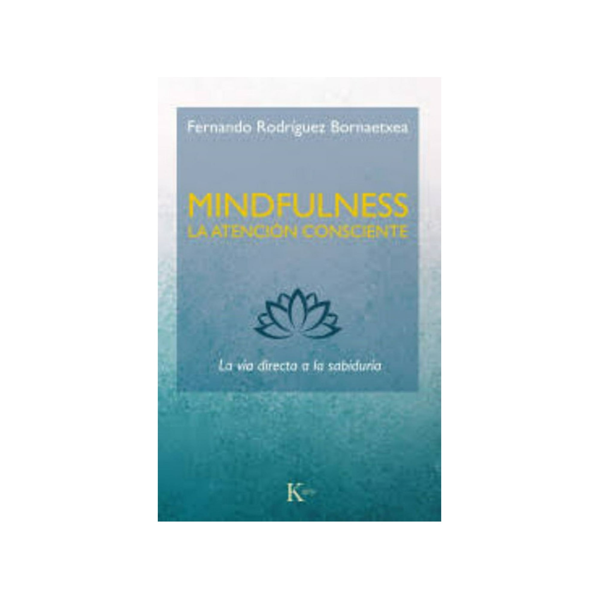 LIBRO MINDFULNESS- LA ATENCIÓN CONSCIENTE. ENVIO GRAT /234 | Lider