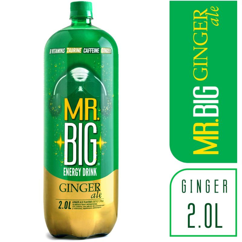 Bebida Energética Ginger Ale, 2 L | Lider