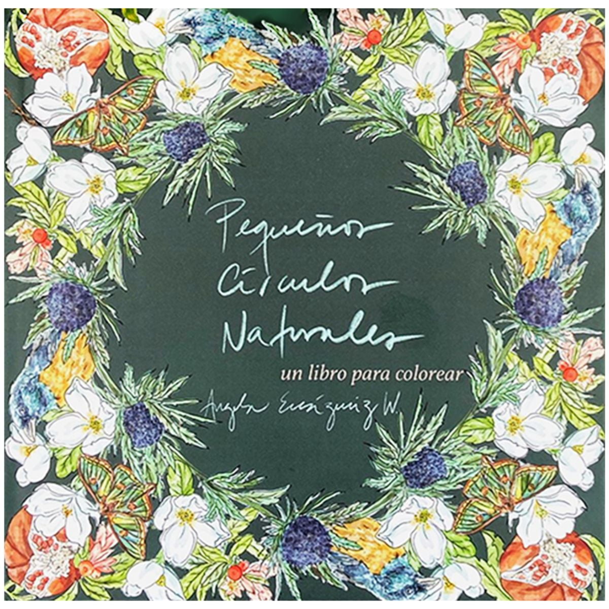 Libro Colorear Pequeños Círculos Naturales Angela Errázuriz | Lider