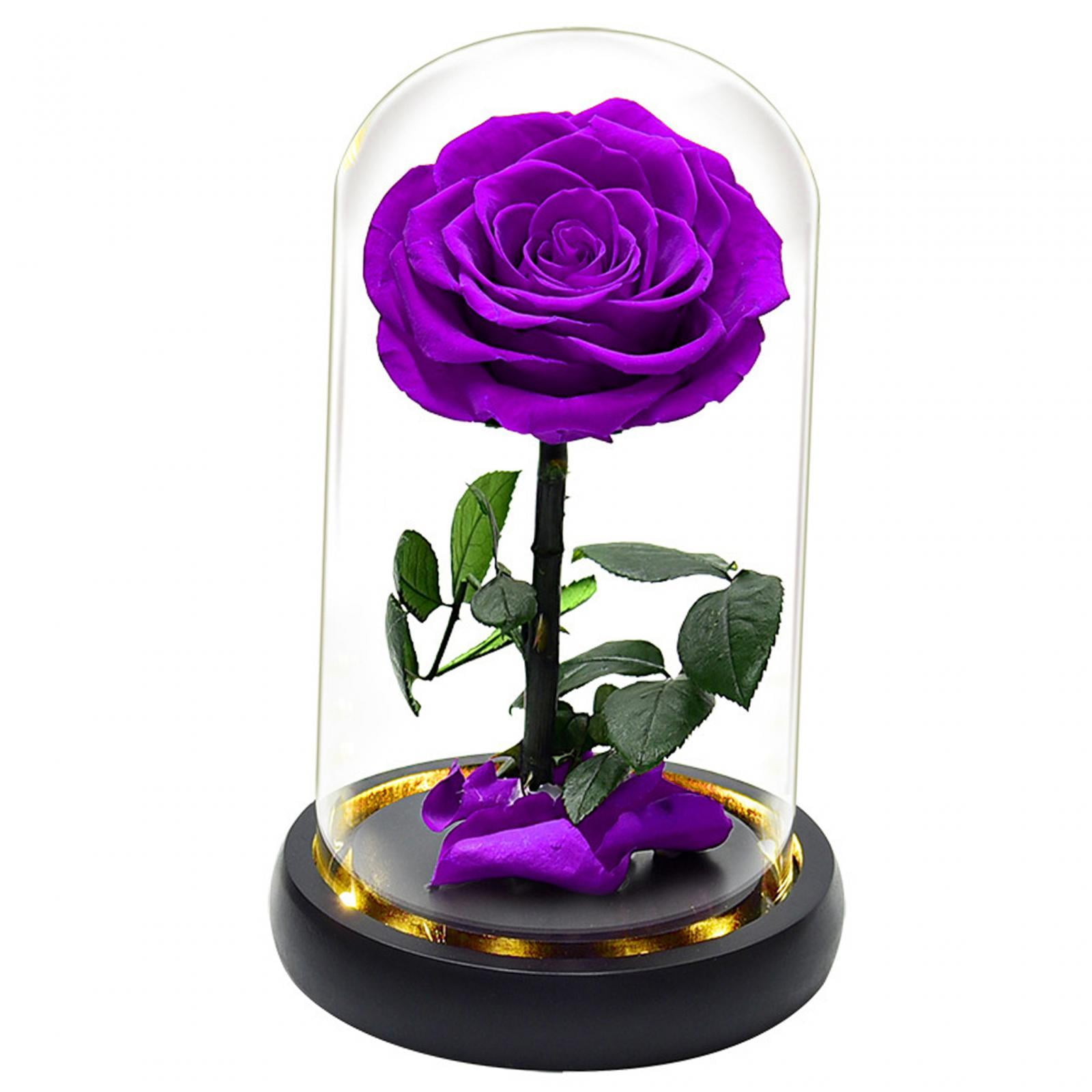 Ilumine Una Rosa En Una Cúpula De Cristal Regalos Del Día De San ...