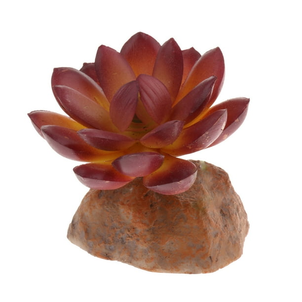 Planta Suculenta Con Base De Resina Reptil Terrario Vívaco Ornamento 1 ...