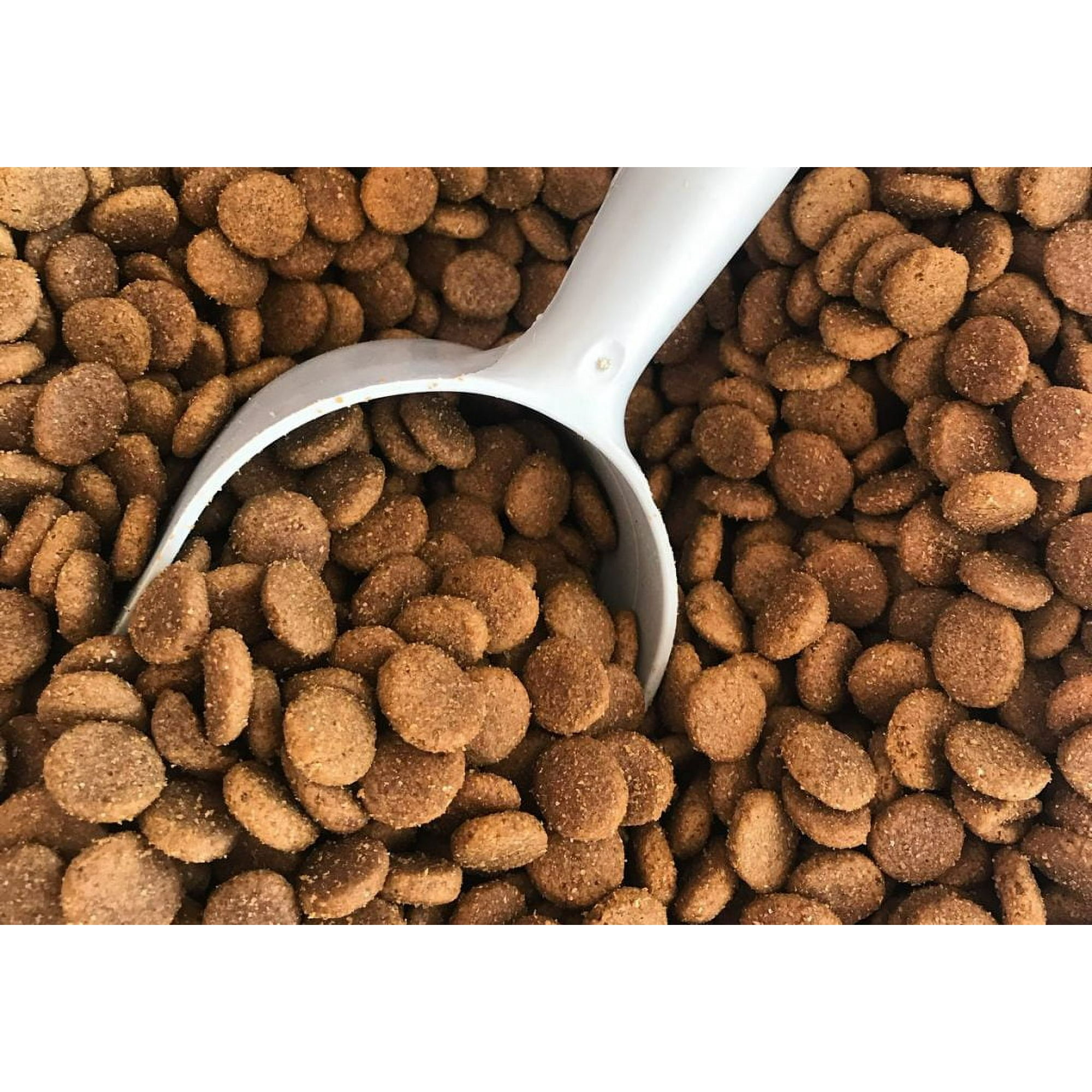 WFS PRUEBA ANIMAL FOODS 1704 | Lider