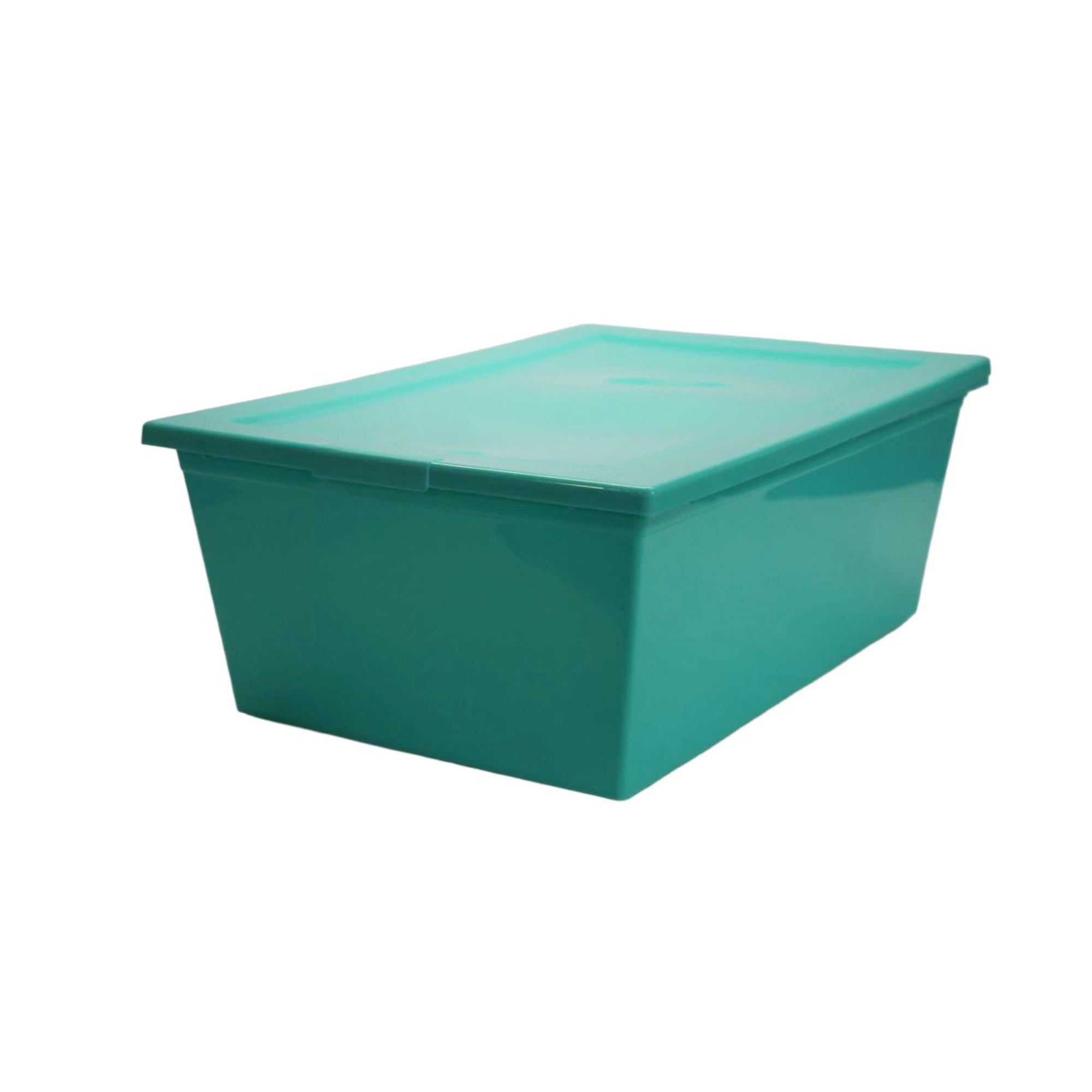 Caja 10 litros Plastico Verde | Lider