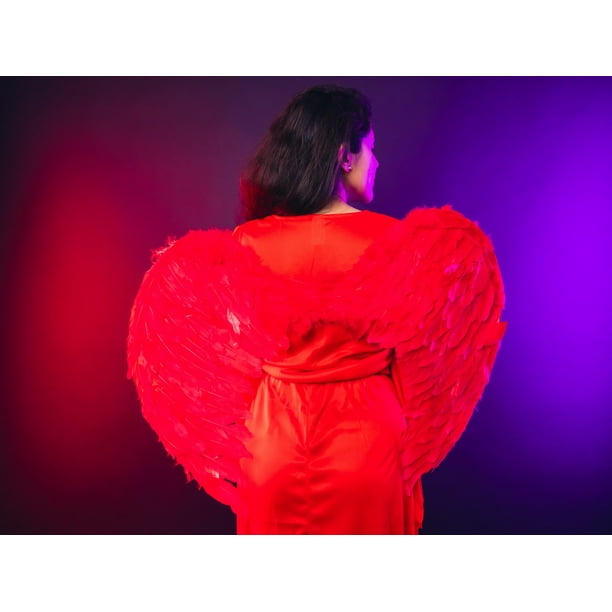 Alas De Angel Disfraz Cosplay Accesorio | Lider